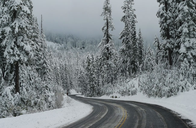 chinook_snow – Rene Herse Cycles