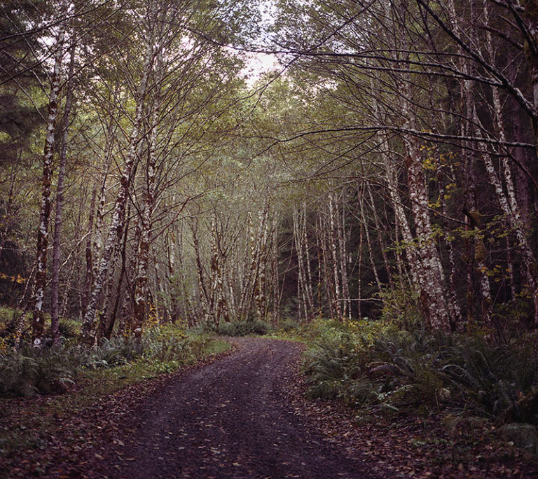 Introducing the Humptulips Ridge 26″ Knobbies – Rene Herse Cycles