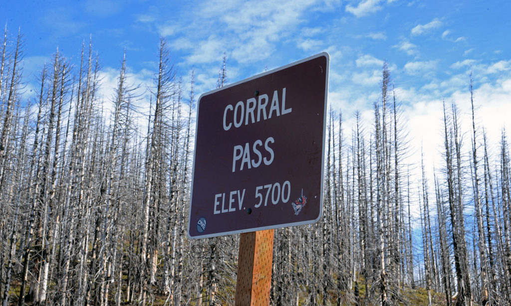 Corral Pass – Rene Herse Cycles