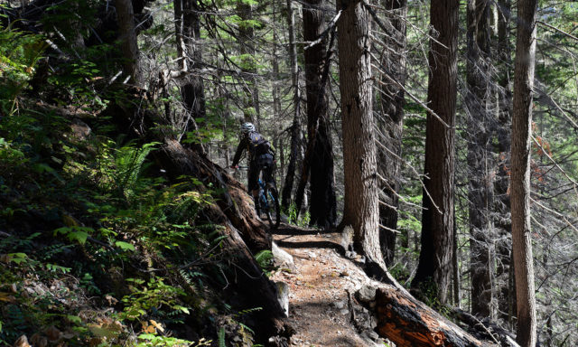 Corral Pass – Rene Herse Cycles
