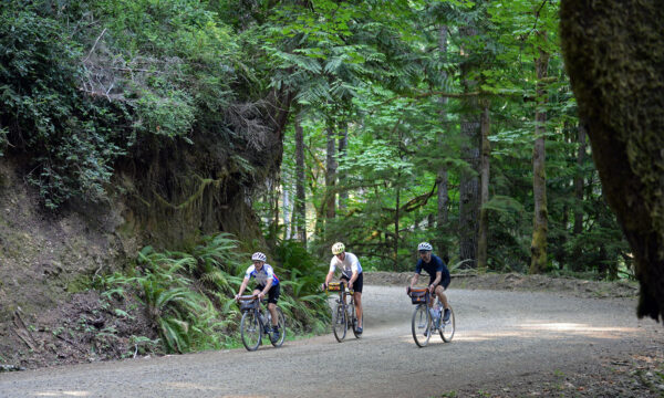 Routes: Tahuya-Hood Canal – Rene Herse Cycles
