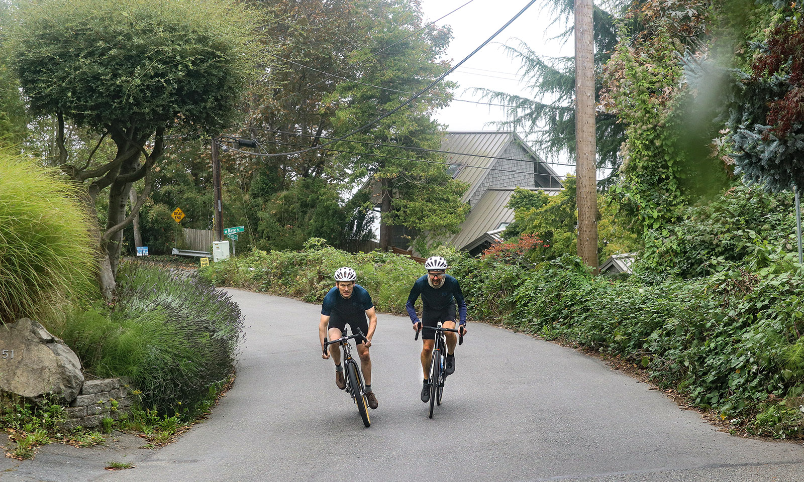 Magnolia Loop – Rene Herse Cycles