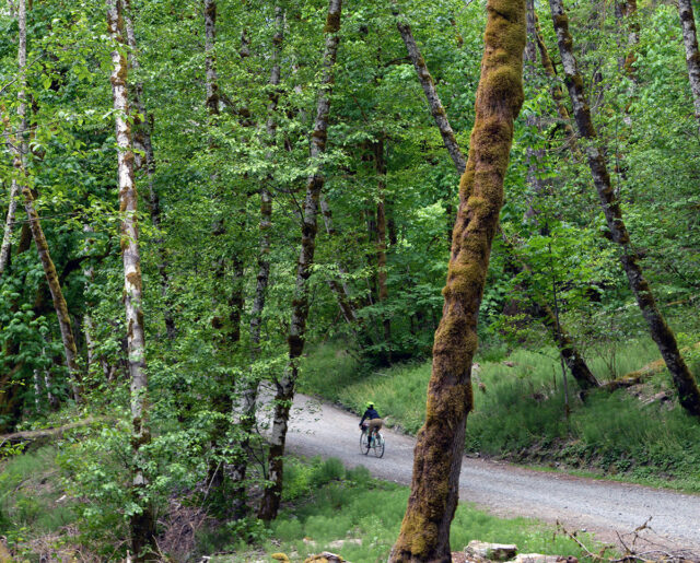 Rediscovering the Cascade Mountains – Rene Herse Cycles