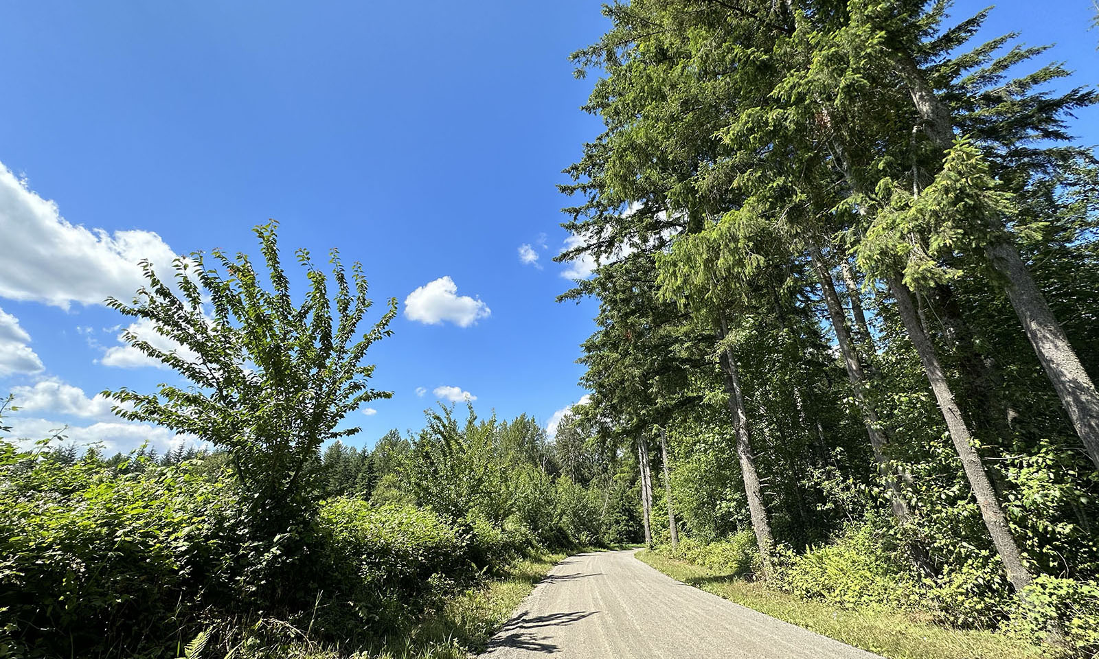 Lake Joy Loop – Rene Herse Cycles