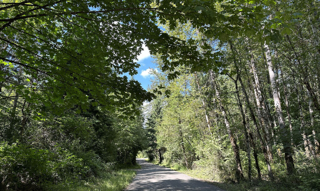 Lake Joy Loop – Rene Herse Cycles