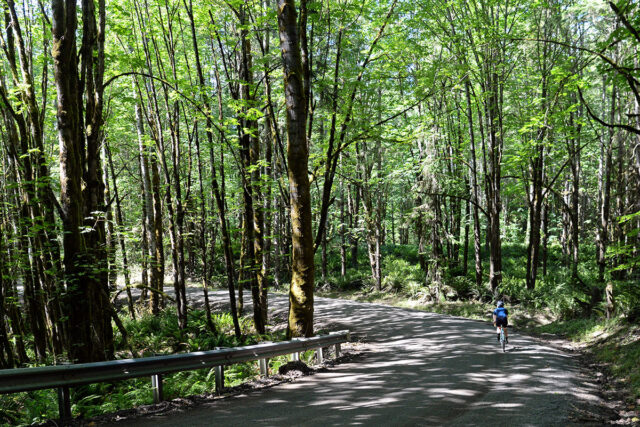 Cyclotouring in the Cascade Foothills: Lake Joy Loop – Rene Herse Cycles