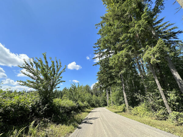 Cyclotouring in the Cascade Foothills: Lake Joy Loop – Rene Herse Cycles